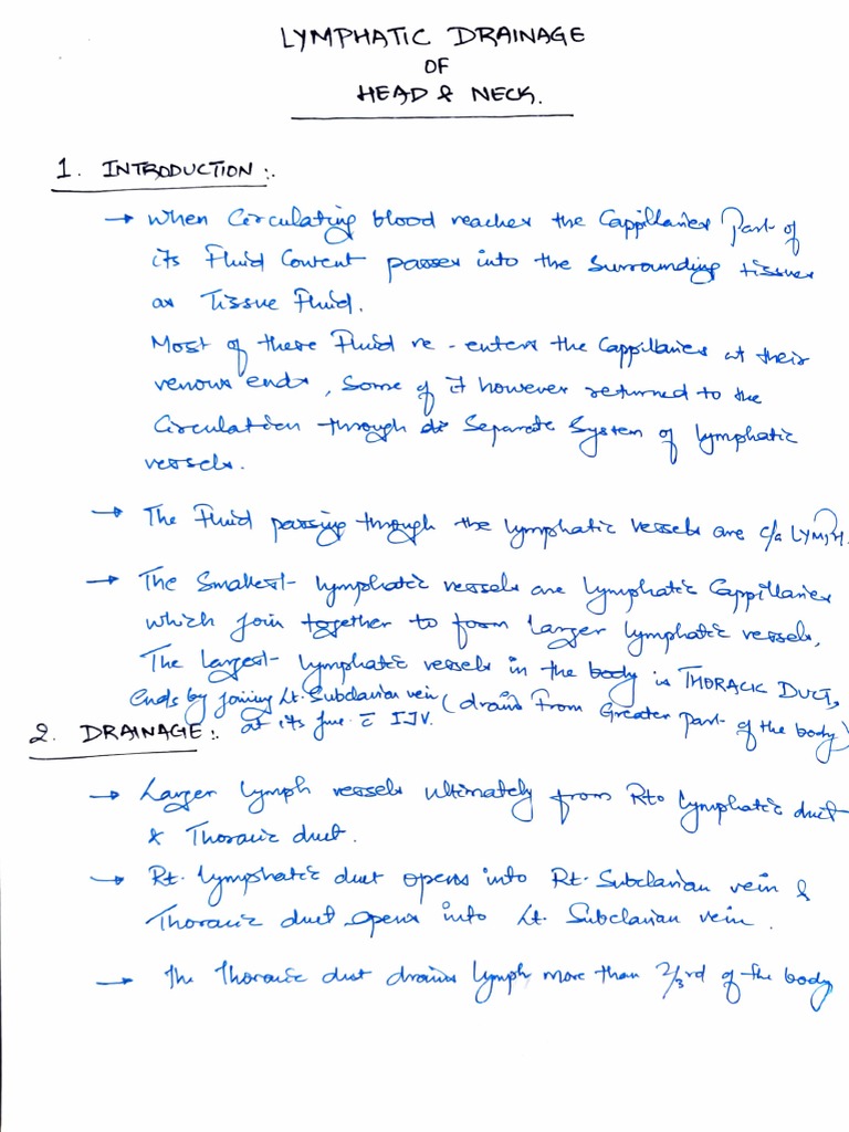 Lymphatic Drainage of Head and Neck | PDF | Physiology | Angiology