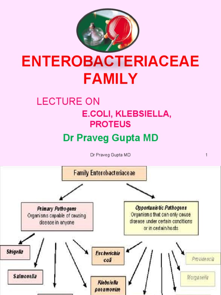 ENTEROBACTERIACEAE