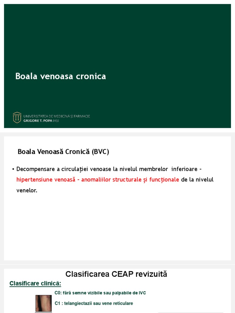 IVC Studenti | PDF