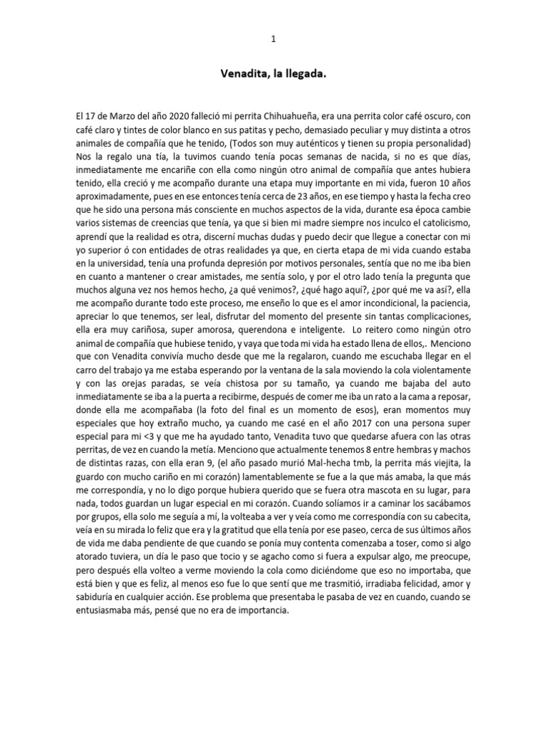 Mi Experiencia Venadita v1.2 2022 | PDF | Amor