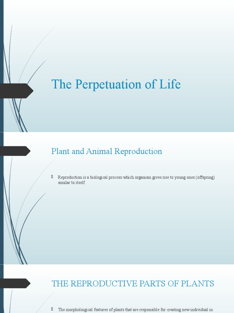 The Perpetuation of Life | PDF | Reproduction | Sexual Reproduction