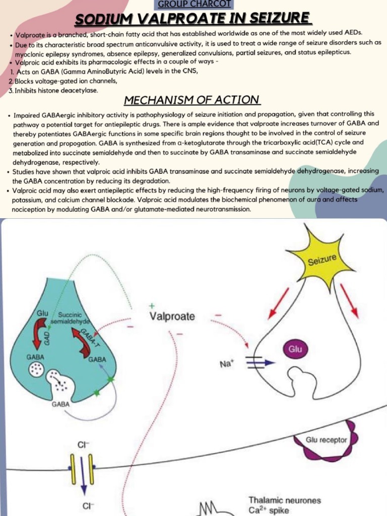 Valproate's Mechanism in Seizure Control | PDF