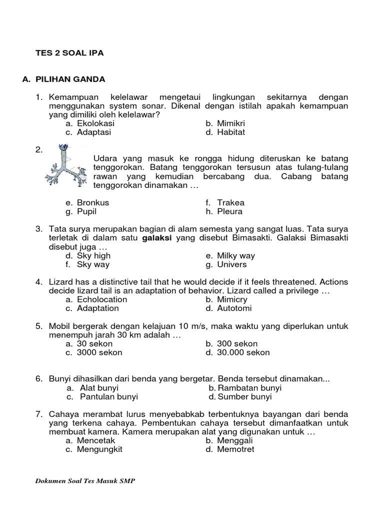 Soal PPDB MTS | PDF