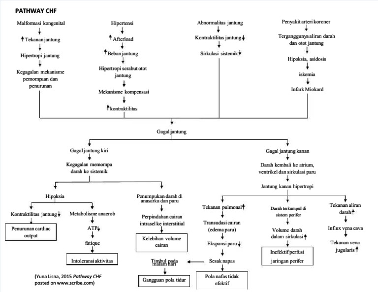 PDF 264933316 Pathway CHF Compress | PDF