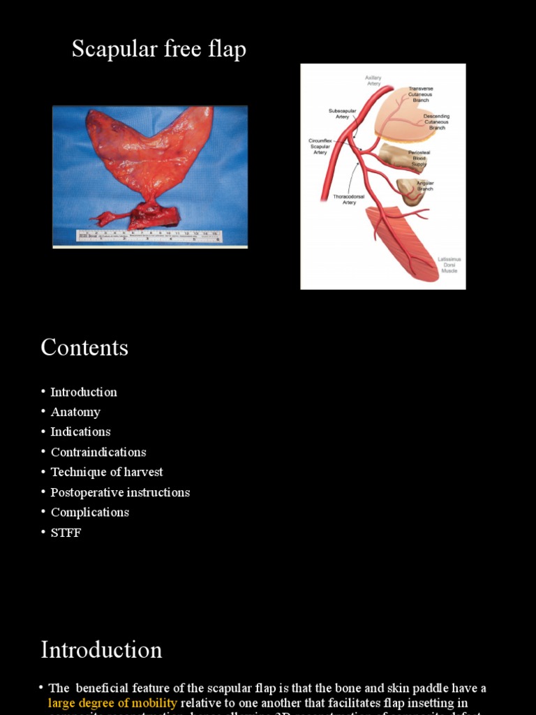 Scapular Free Flap | PDF Scapular Free Flap | PDF