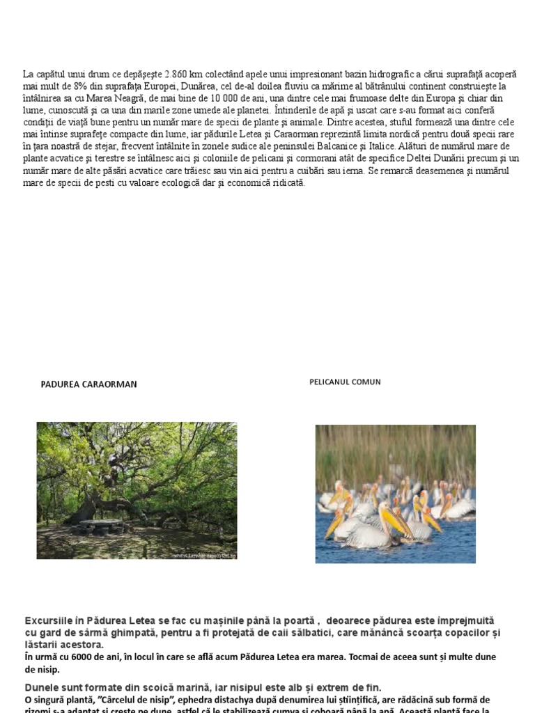 Proiect Delta Dunarii | PDF