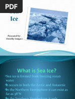 Arctic Melt: The Vanishing Ice Cap | PDF