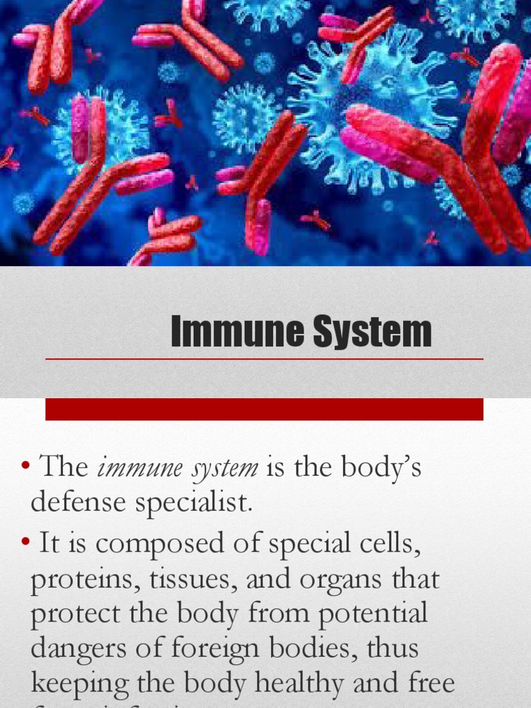 Understanding the Immune System | PDF | Immune System | Antibody
