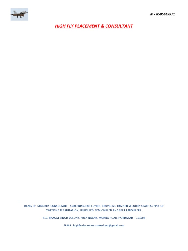 High Fly Placement & Consultant | PDF