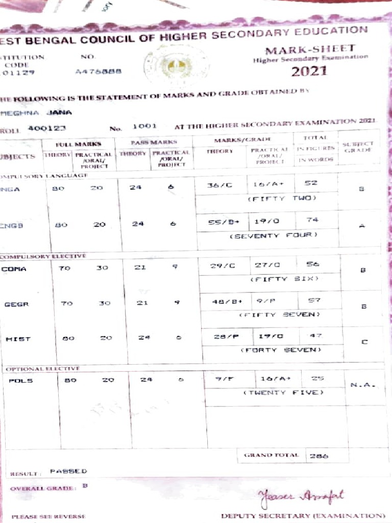 Meghna Jana's 2021 Higher Secondary Examination Mark-Sheet and Results ...