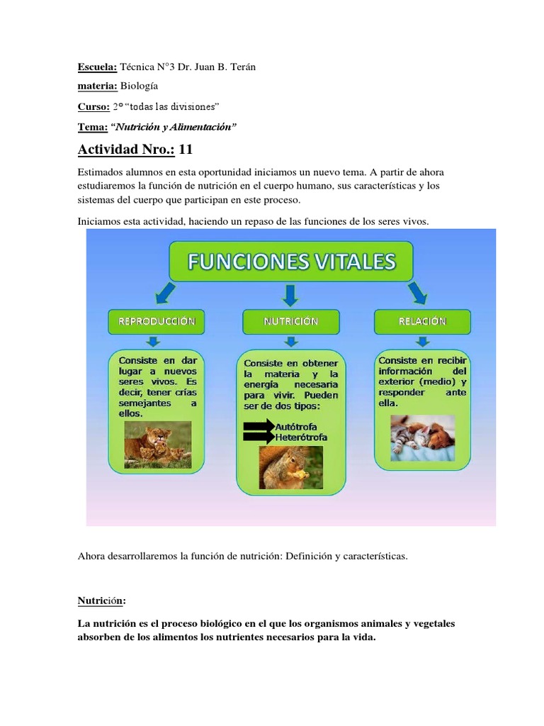 TP10 Biologia 2° | PDF | Dieta y nutrición | Nutrición