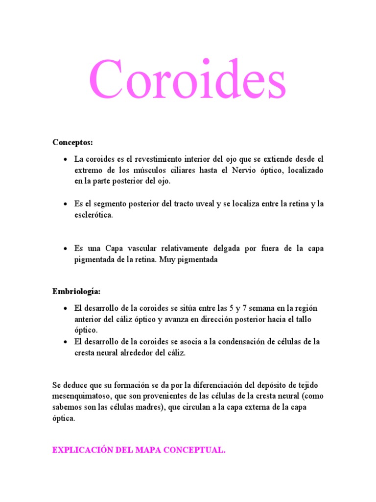 Coroides | PDF | Artería | Retina
