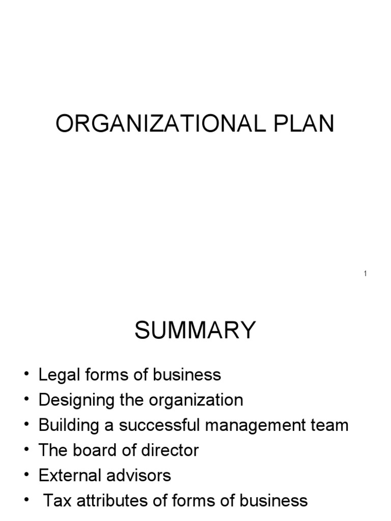 Organizational Plan for Business Success | PDF | Partnership | Ownership