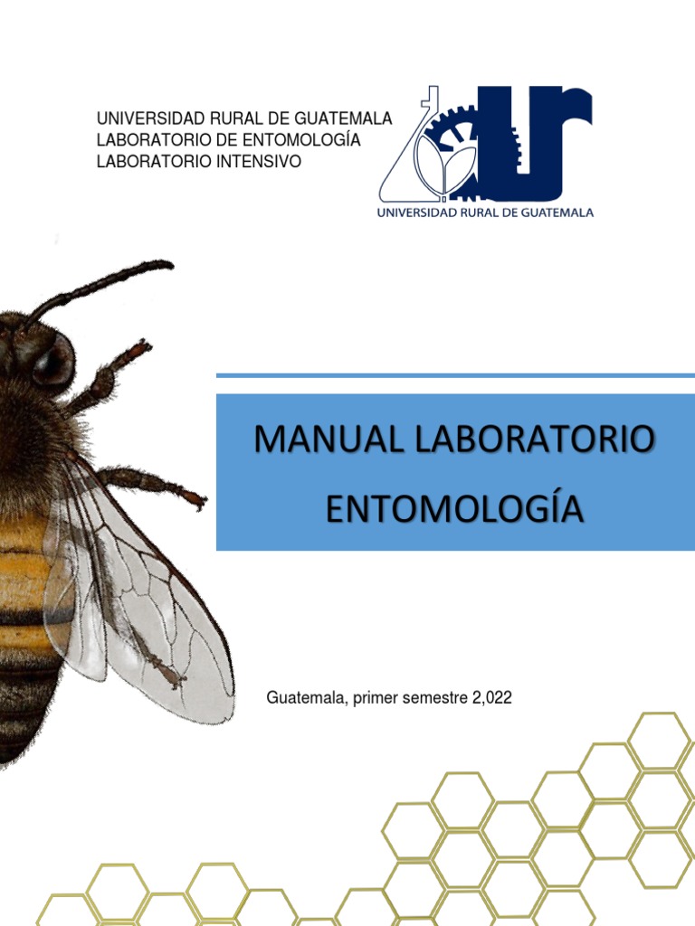Manual de Laboratorio de Entomología | PDF | Insectos | Sistema ...