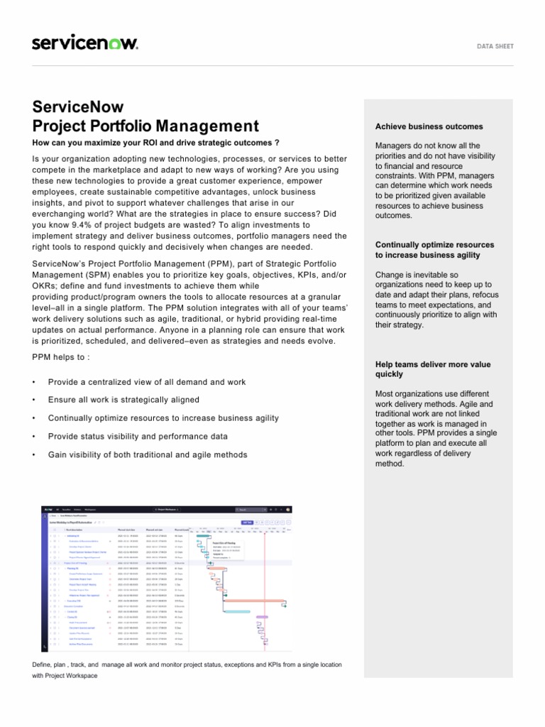 Ds Project Portfolio Management | PDF | Direction | Business