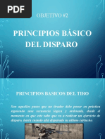 Los Principios Básicos Del Tiro Son Nueve | PDF | Shooting Sport | Rifle