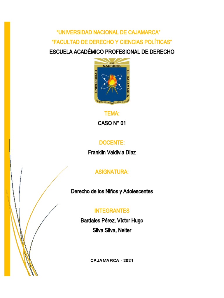 Caso N°01 Administrativo - Bardales Pérez & Silva Silva | PDF | Policía | Verdad
