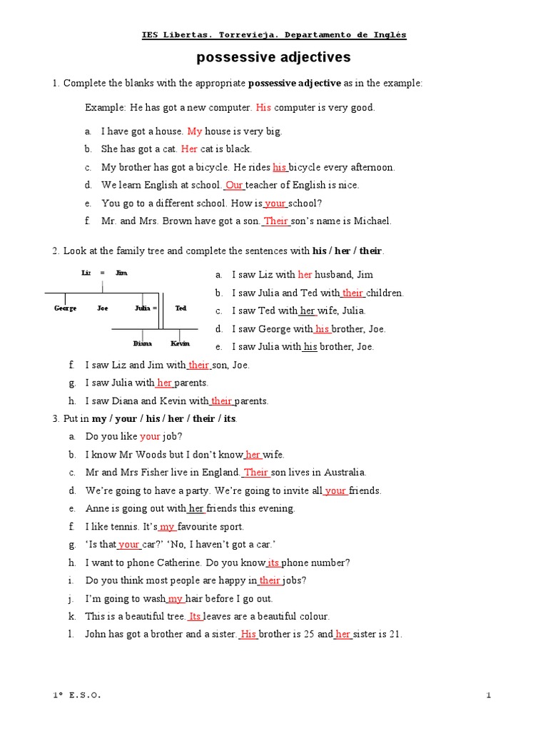 Possessive Adjectives: His My Her His Our Your Their | PDF