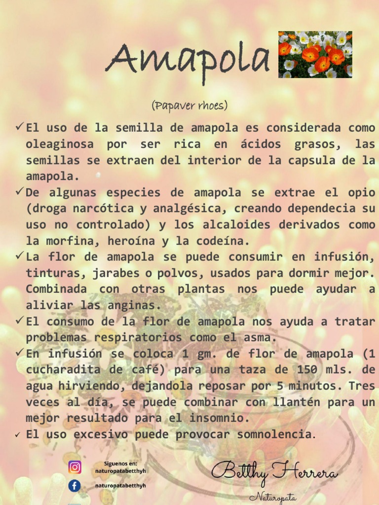 AMAPOLA | PDF