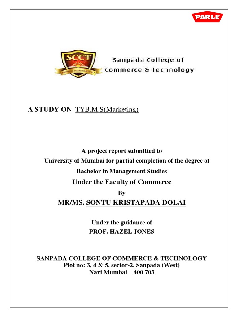 Project Starting Pages | PDF