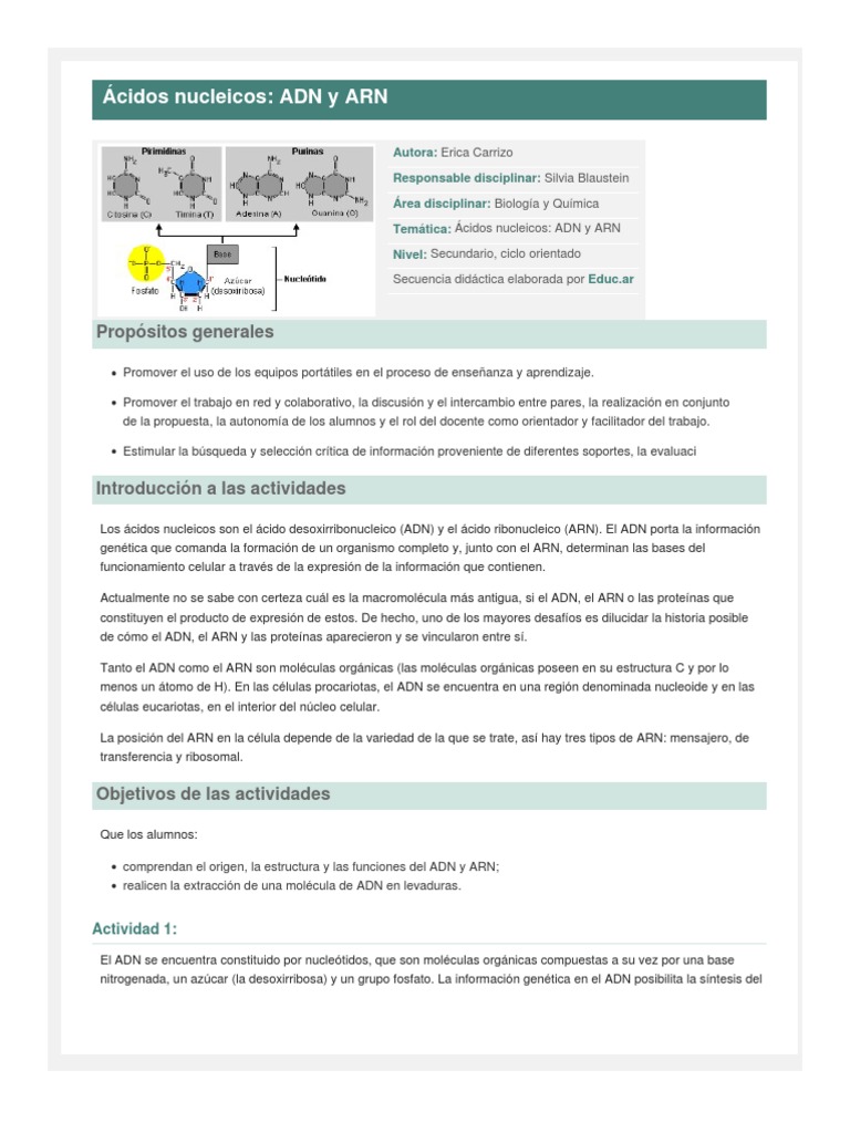 Ácidos Nucleicos - ADN y ARN | PDF | Rna | Adn