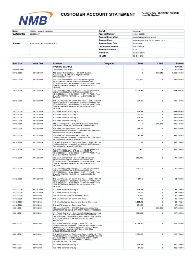 NMB Personal Account Statement 2021 | PDF | Debits And Credits | Credit ...
