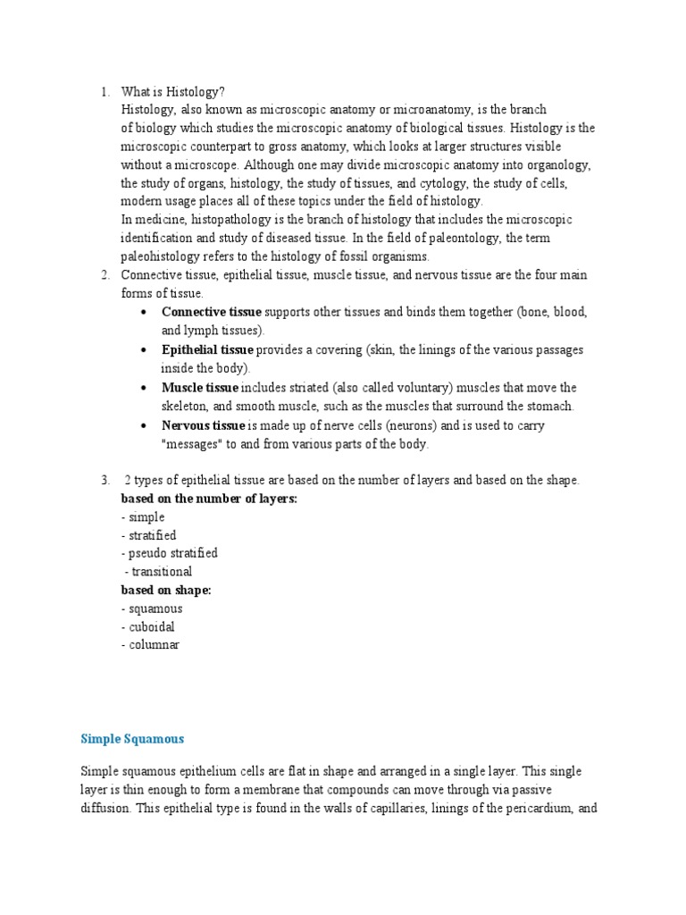 Histology Assignment | PDF | Epithelium | Histology