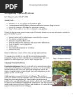 Watermelon Complete Guide. | PDF | Fertilizer | Watermelon