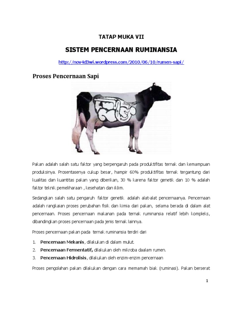 Sistem Pencernaan Ruminansia | PDF