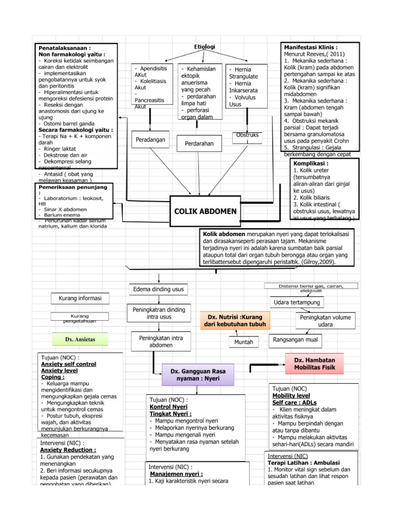 WOC Colic xlsx | PDF