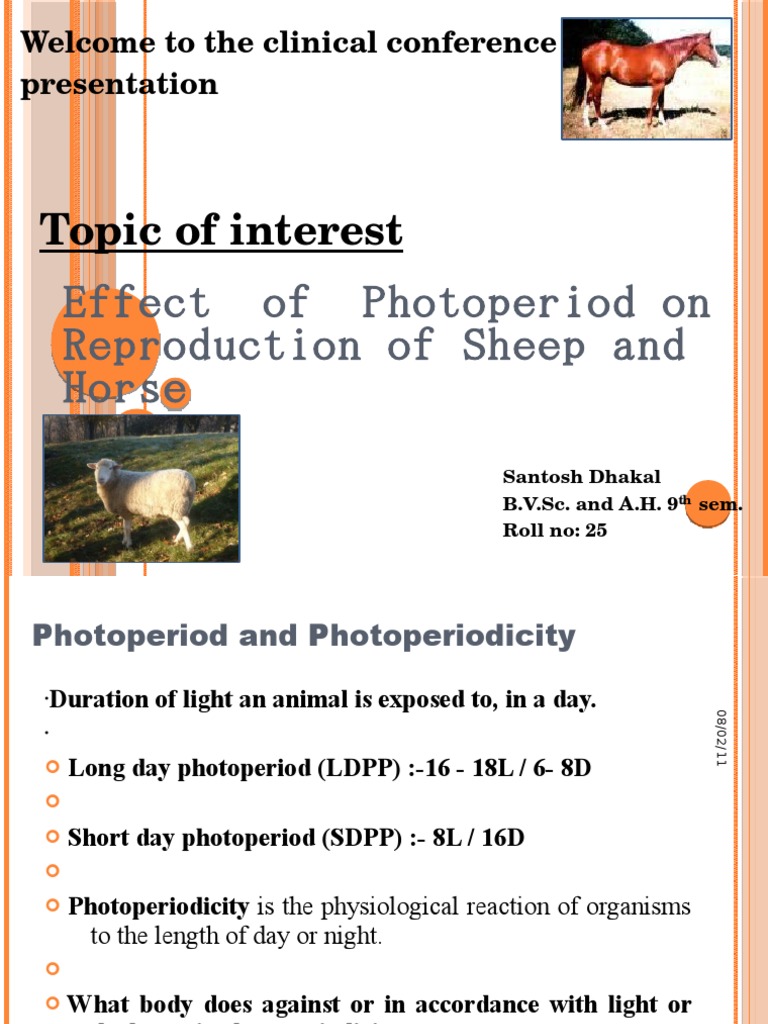 Photoperiod's Impact on Sheep and Horse Reproduction | PDF | Circadian ...