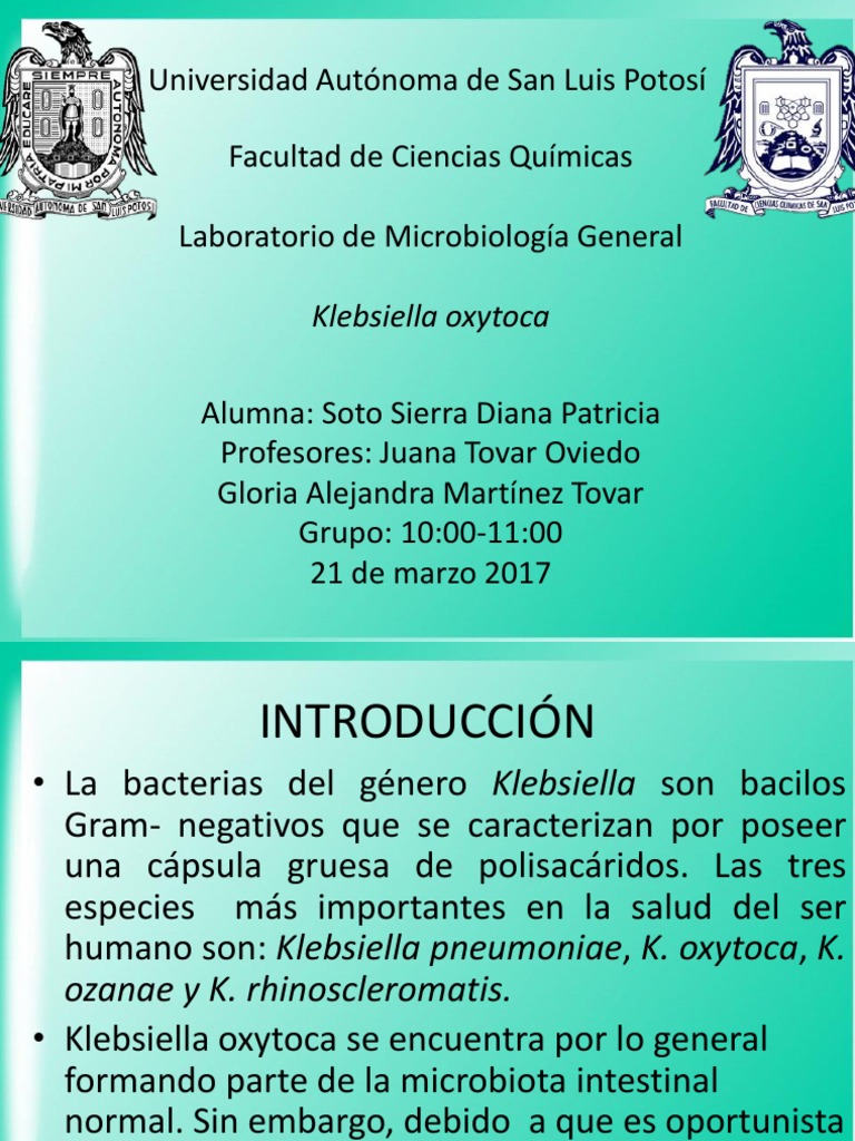 Klebsiella Oxytoca Por Diana Patricia | PDF | Microbiología ...