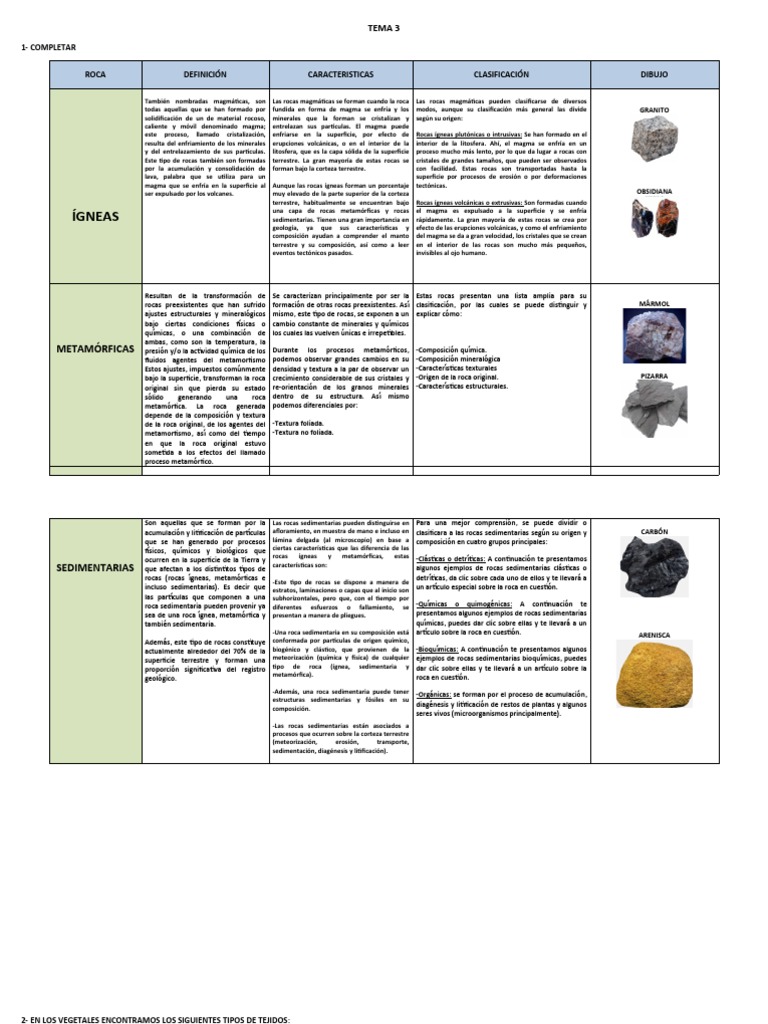 Cs. de La Tierra "Tipos de Rocas" | PDF | Roca (geología) | Magma