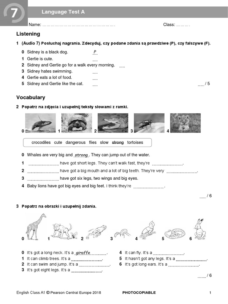 ECA1 Tests Language Test 7A New2018 | PDF