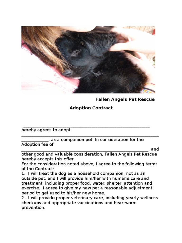 Adoption Contract | PDF | Pet | Veterinary Physician