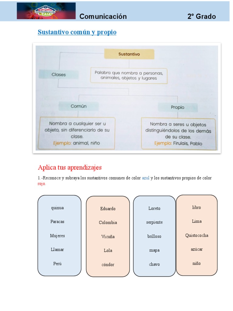 Sustantivo Común y Propio.2° | PDF