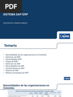 Solped Sap | PDF | Informática | Software