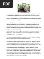 Anatomía del Koala: Características Clave | PDF | Coala