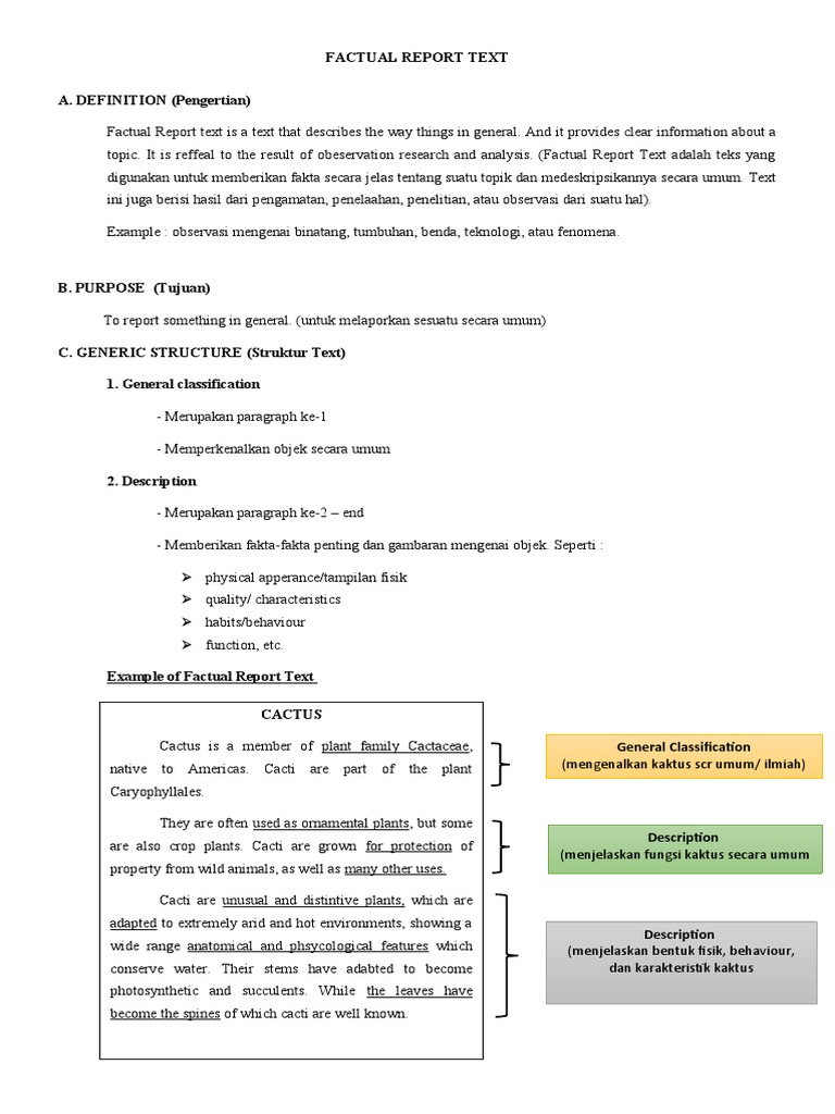 Task 2 (Factual Report) Fix | PDF | Whales