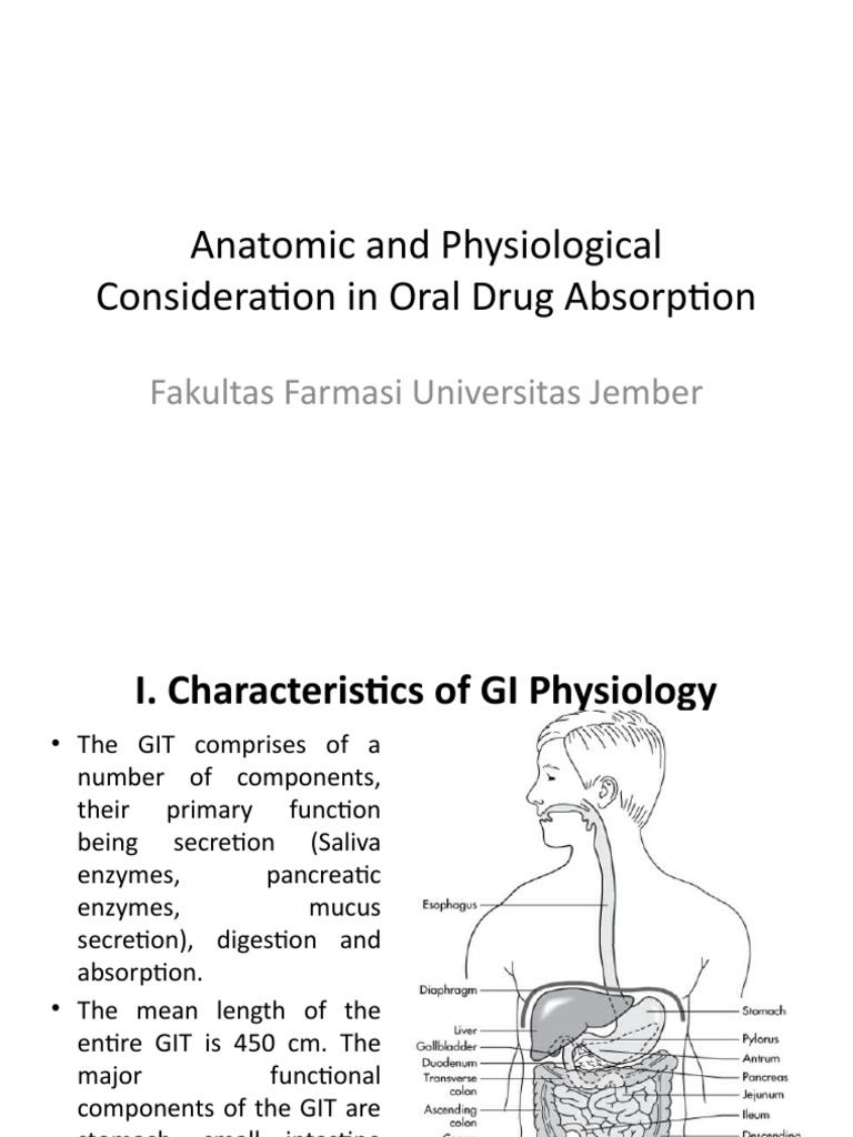 Anatomic and Physiological Consideration in Oral Drug Absorption | PDF ...