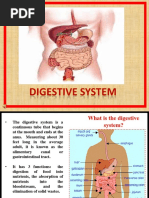 The Journey of A Cheese Sandwich! | PDF | Digestion | Digestive System