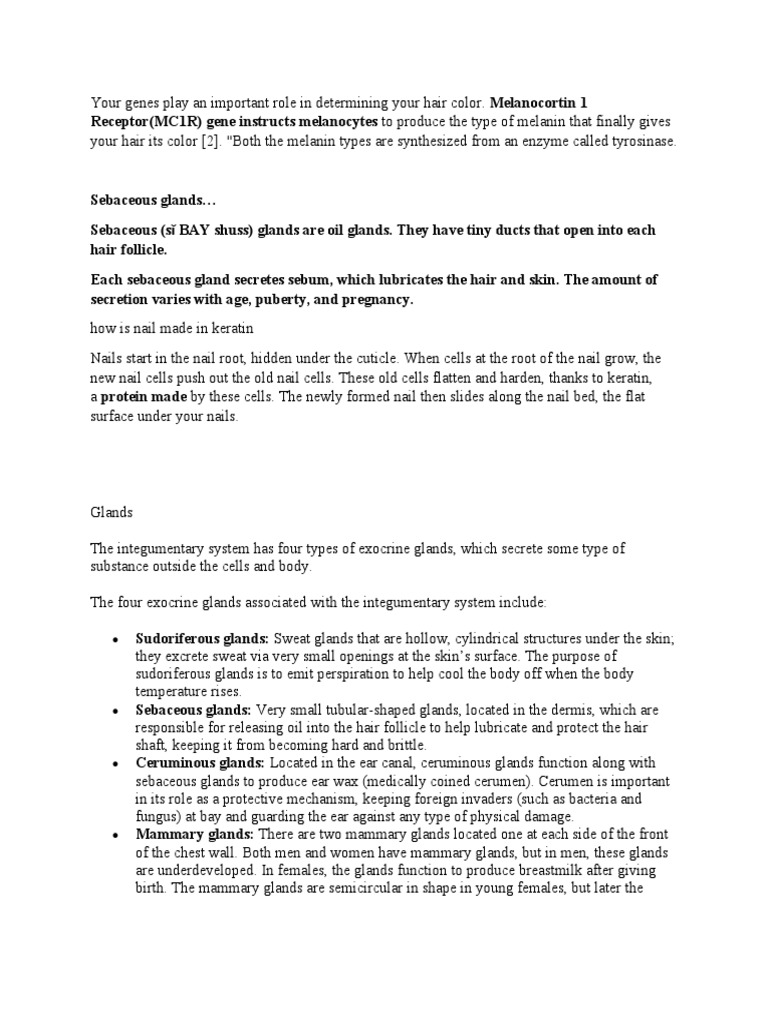 Integumentary System Notes | PDF