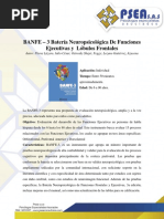 Protocolo BanFe | PDF
