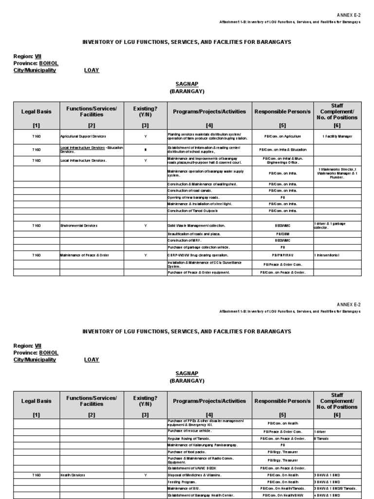 LGU Functions Inventory | PDF | Infrastructure | Economies