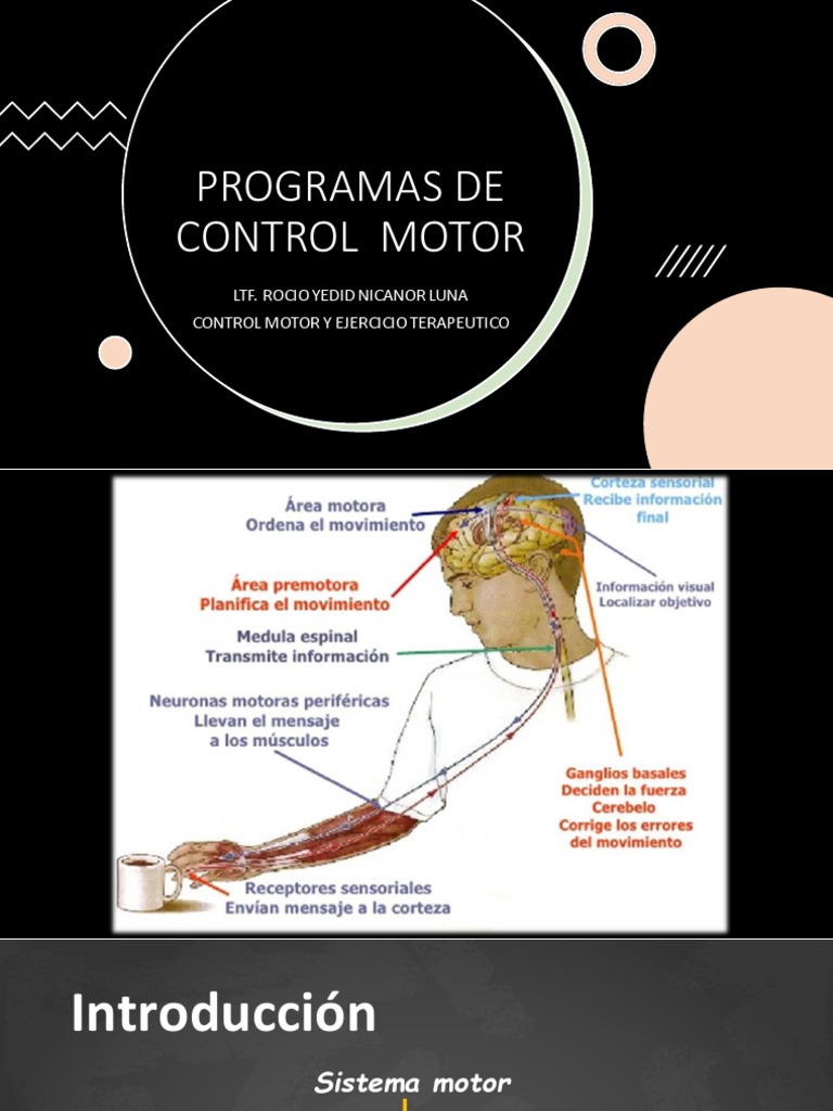 Programas de Control Motor | PDF | Cerebro | Cerebelo