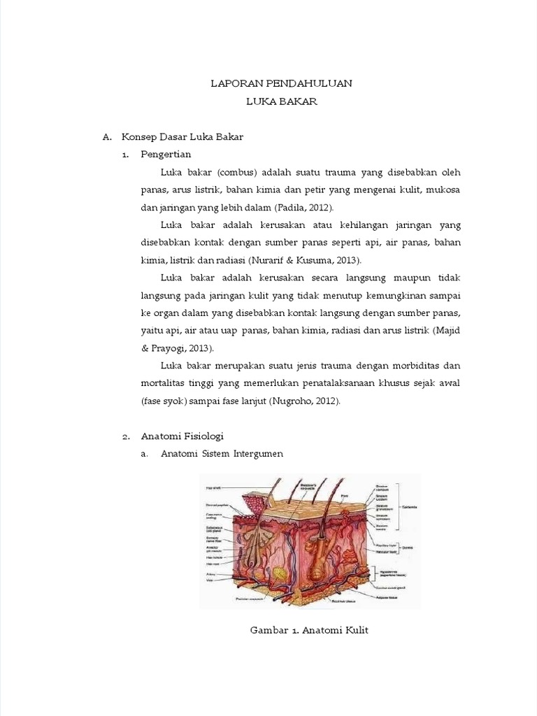 LP Luka Bakar | PDF