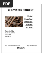 Rusting of Iron - Project | PDF | Rust | Iron
