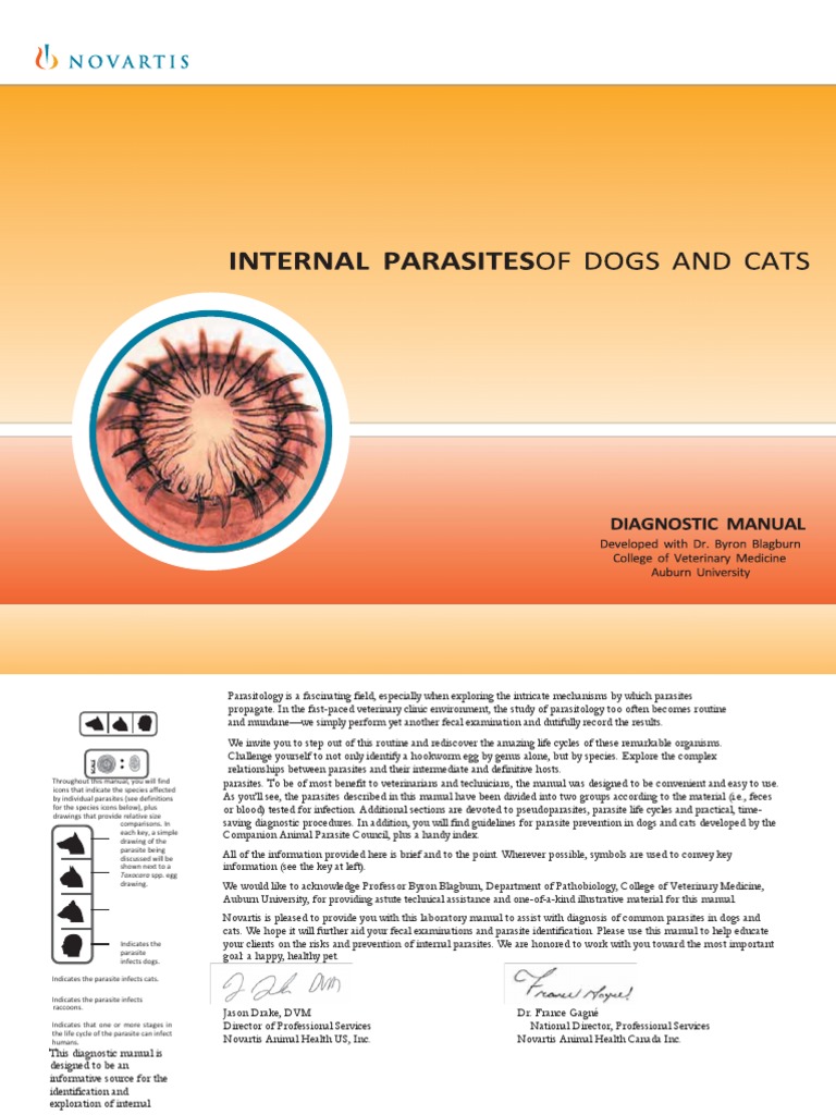 Internal Parasites in Dogs and Cats Guide | PDF | Parasitism | Medical ...