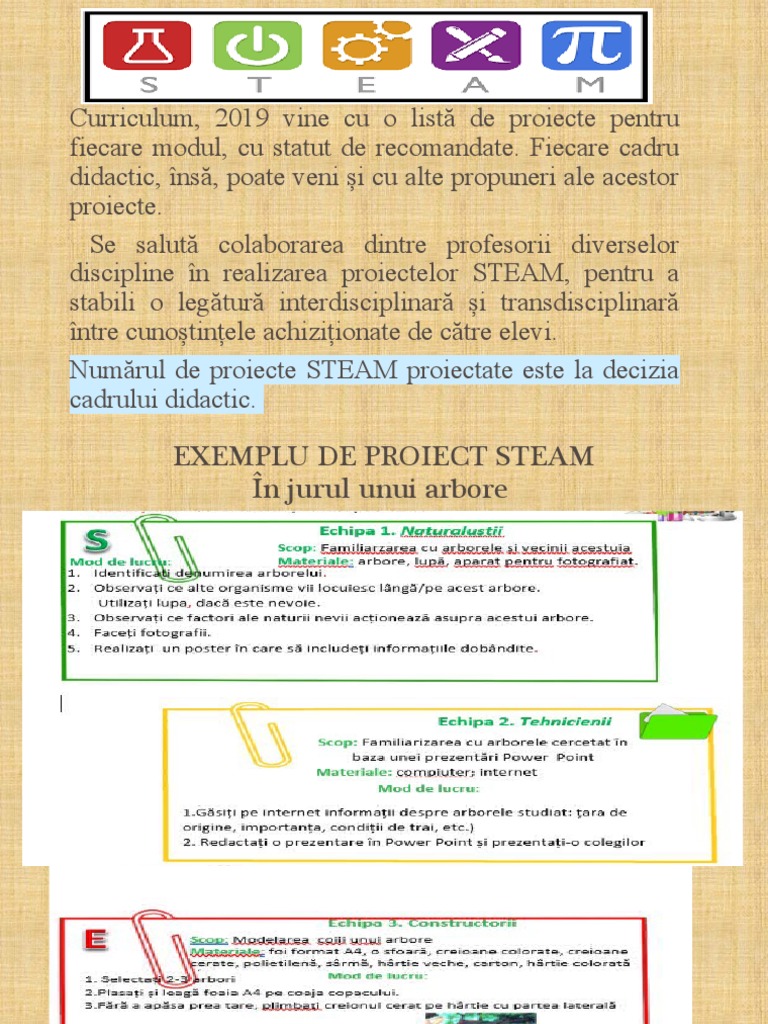 Model Proiect STEAM | PDF