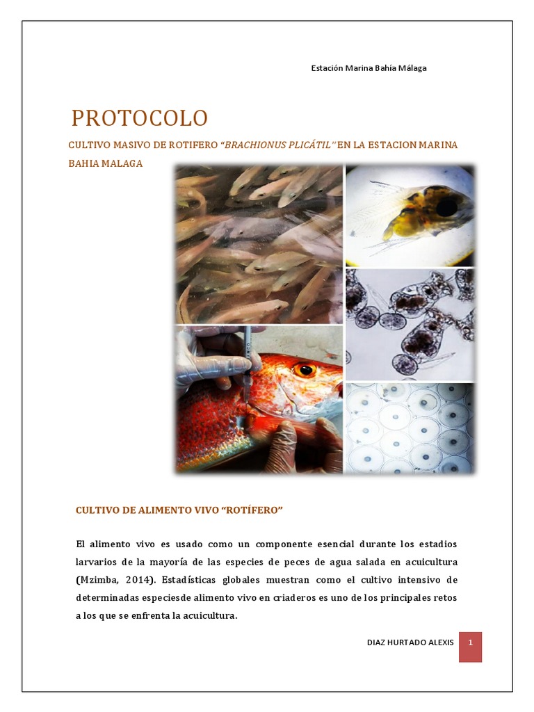 Protocolo de Rotifero | PDF | Agua | Acuicultura